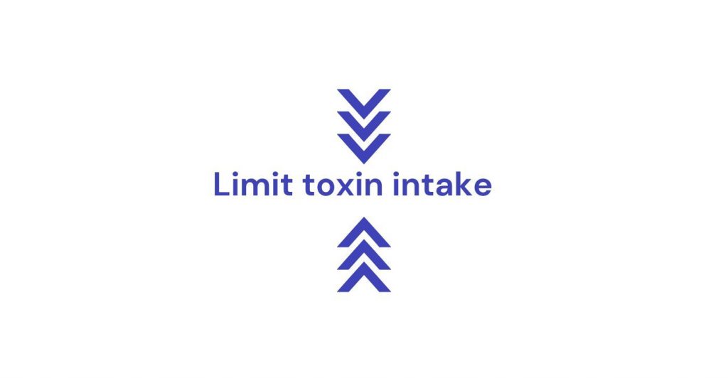 8 Ways to Boost your Immune System