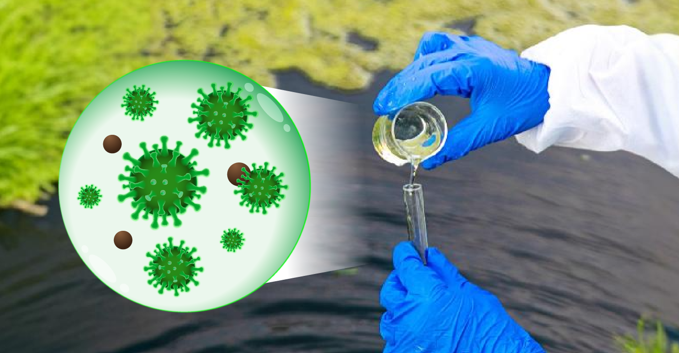 Signs of Water Pollution: How to Identify Contaminated Water