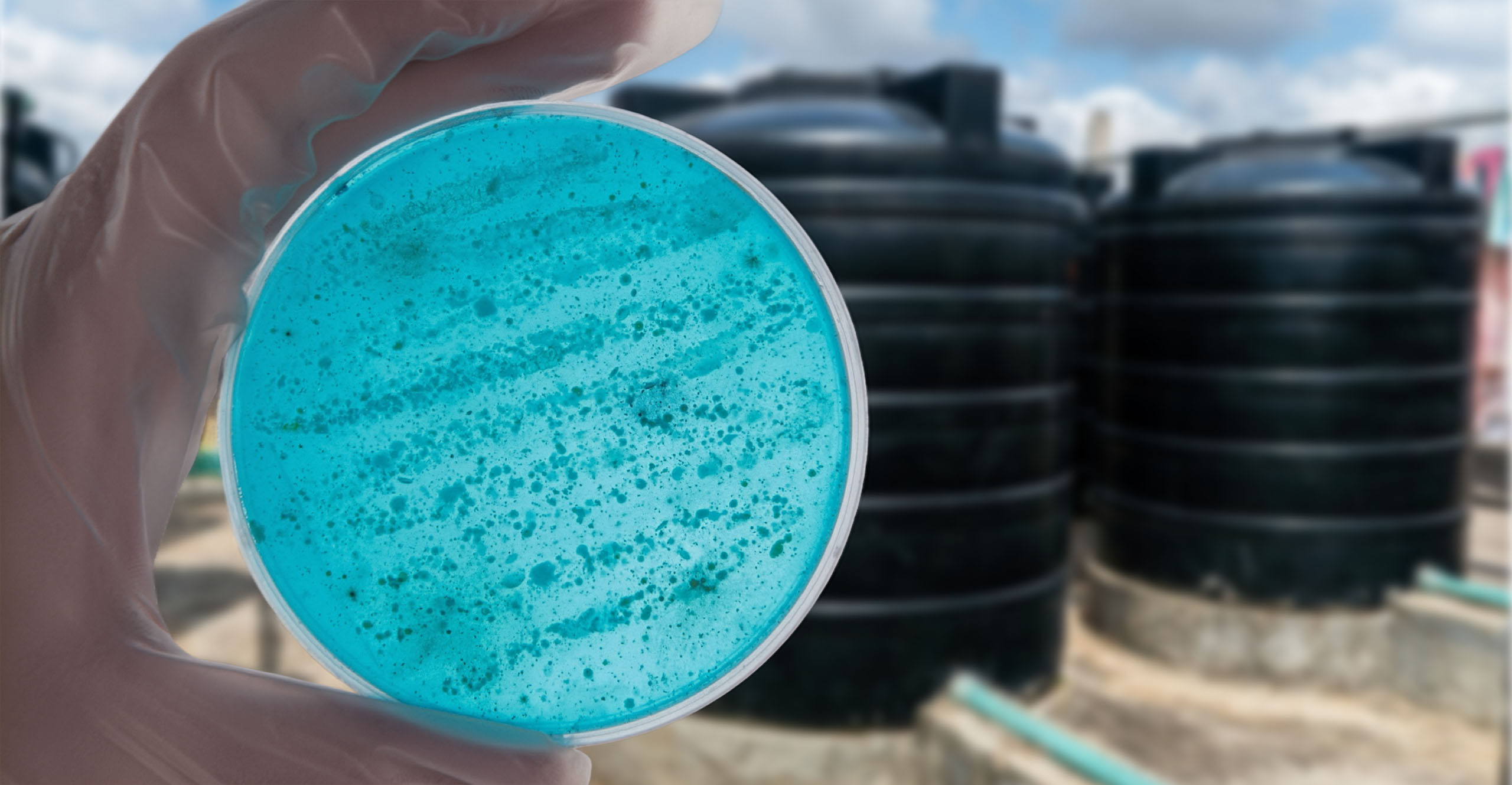 Bacteria in Water Tanks During Winter Explained